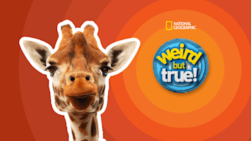 Weird But True! - Disney+ Hotstar