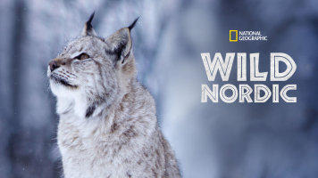 Wild Nordic - Disney+ Hotstar