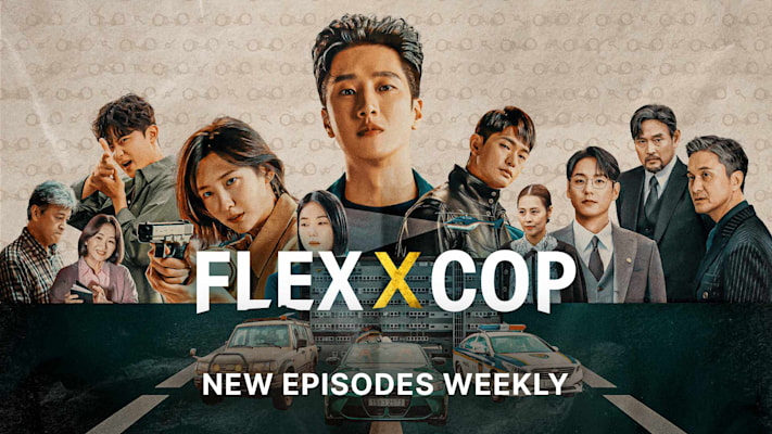 เรื่องย่อ ซีรีส์เกาหลี Flex X Cop (2024)