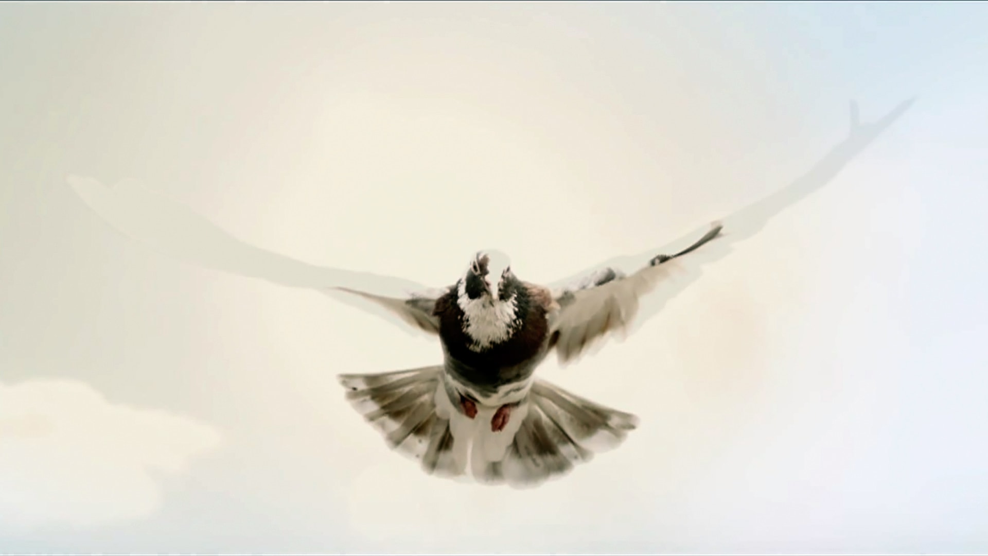 Parava - Promo - JioHotstar