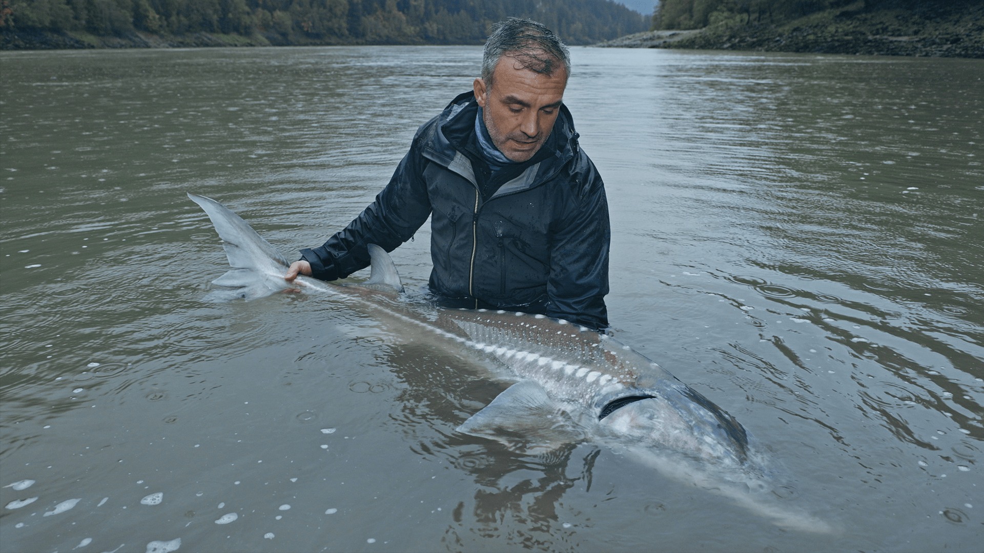 Watch Last of the Giants: Wild Fish Episode 5 on Disney+ UAE | English ...