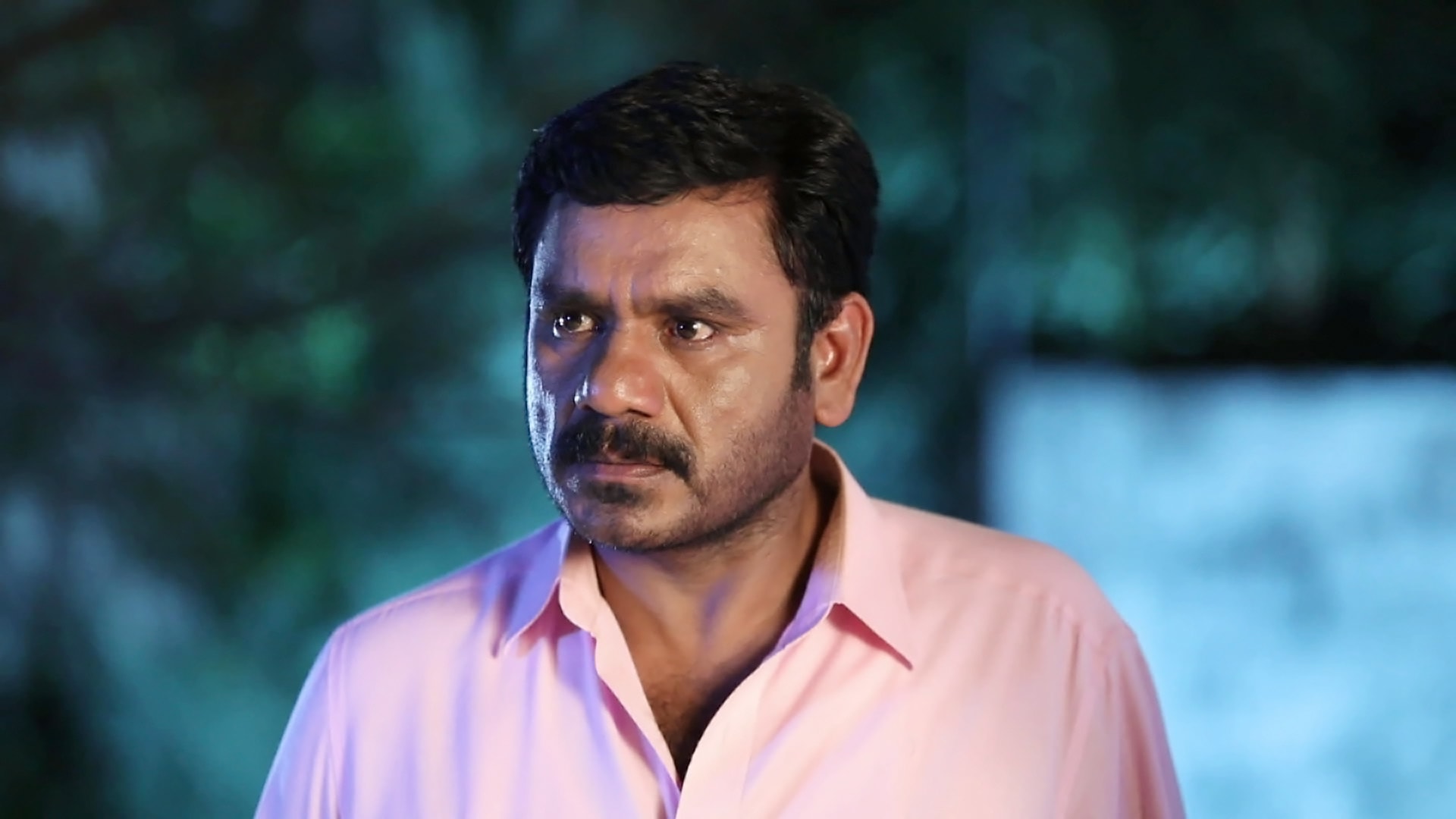 Watch Pandian Stores 2 Episode 209 on JioHotstar