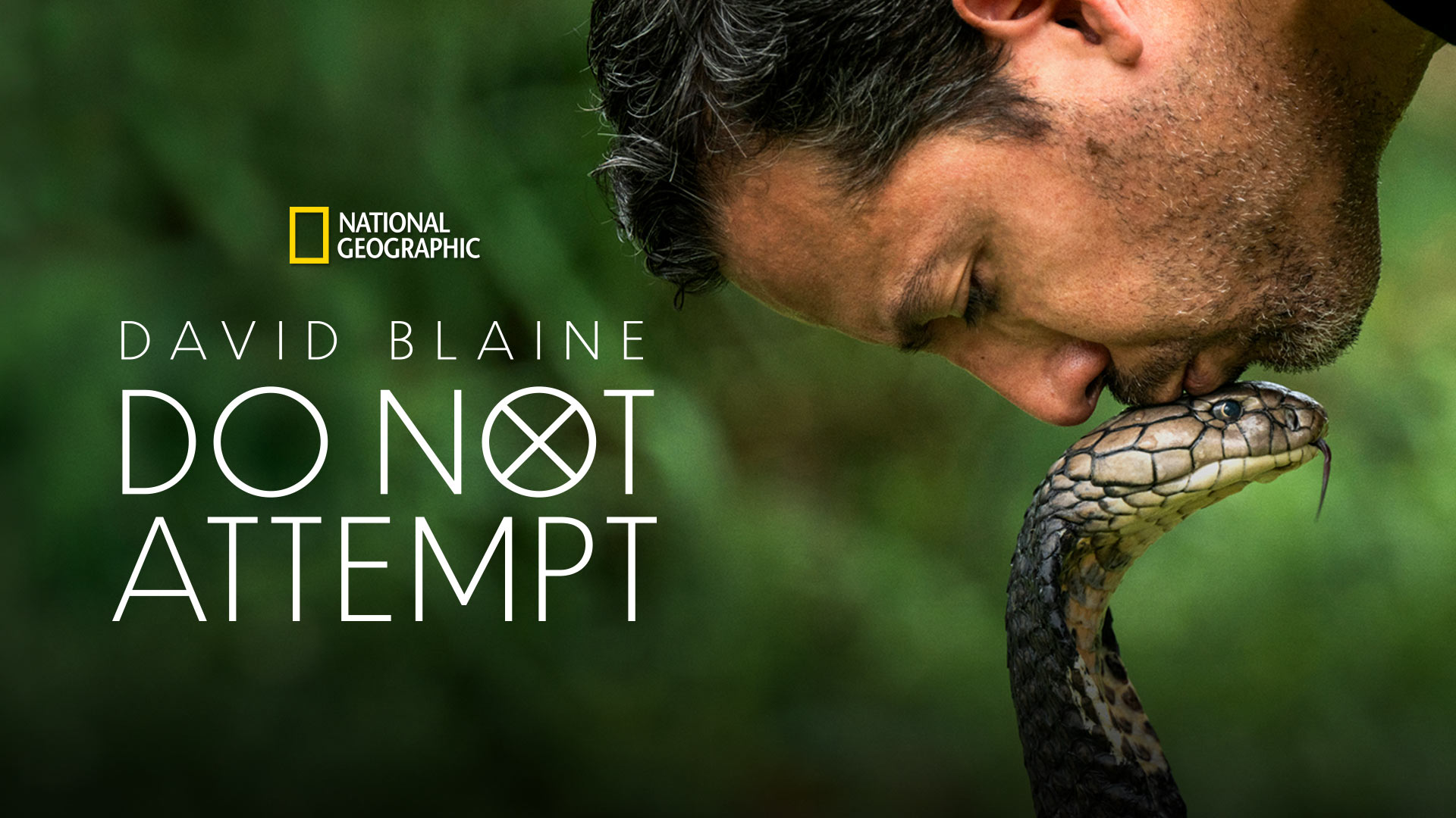 Stream david-blaine-do-not-attempt TV Show Online | Watcho
