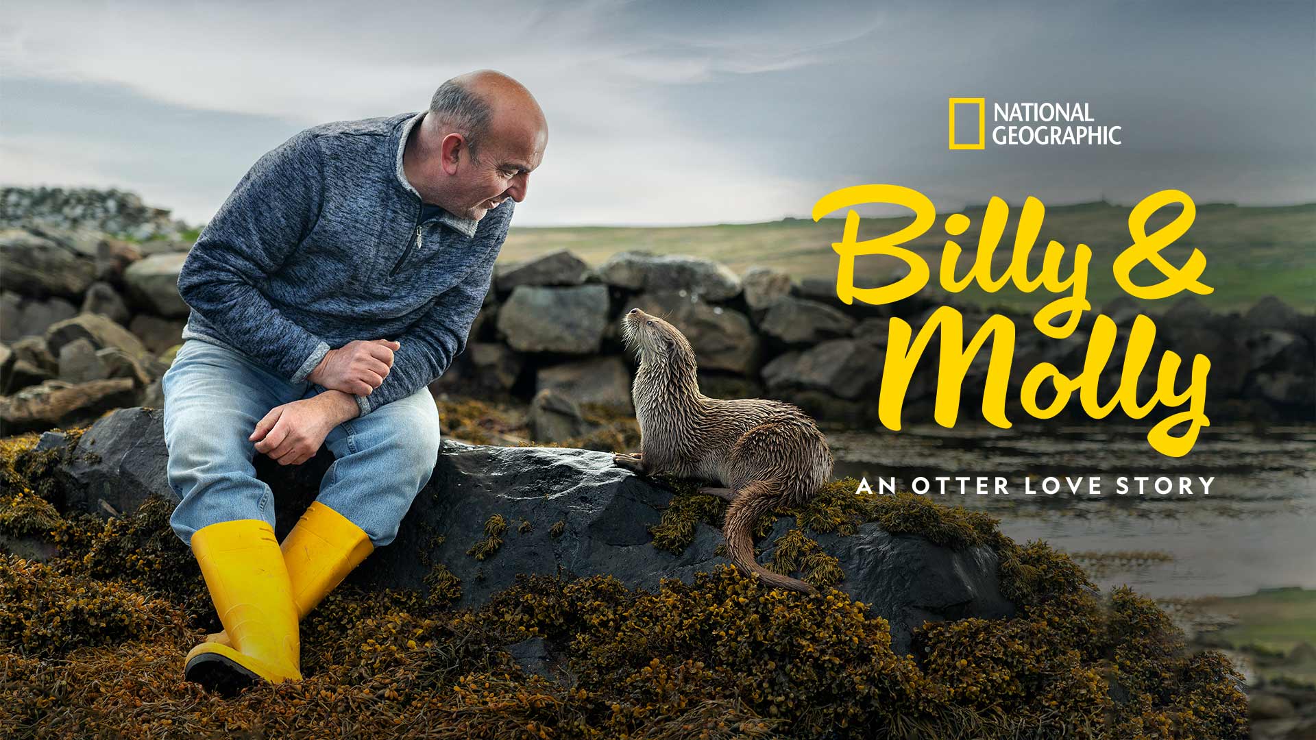 Watch Movie Billy and Molly: An Otter Love Story Online only on Watcho,