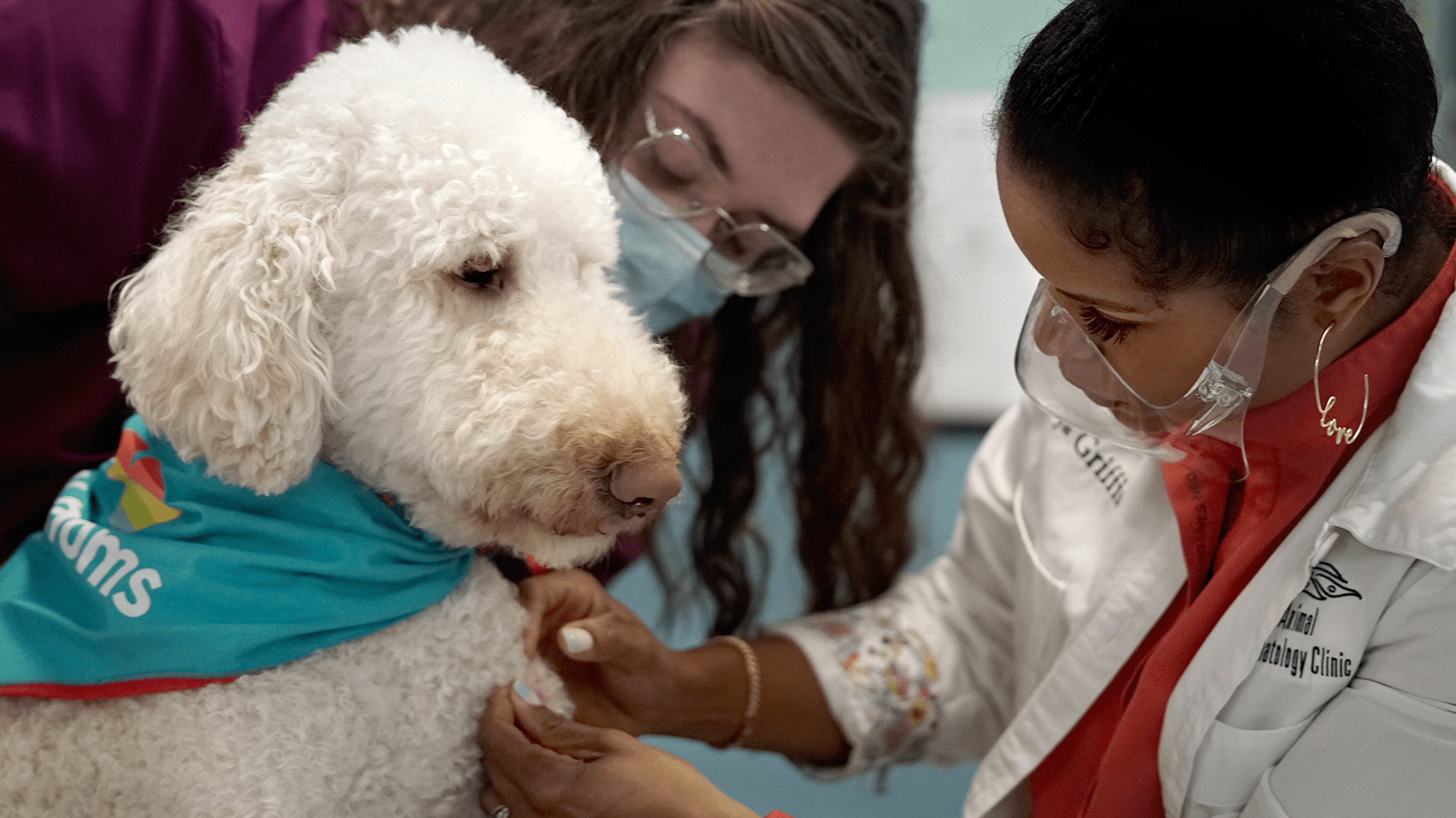 Watch Pop Goes the Vet with Dr. Joya S1 Episode 1 on Disney+