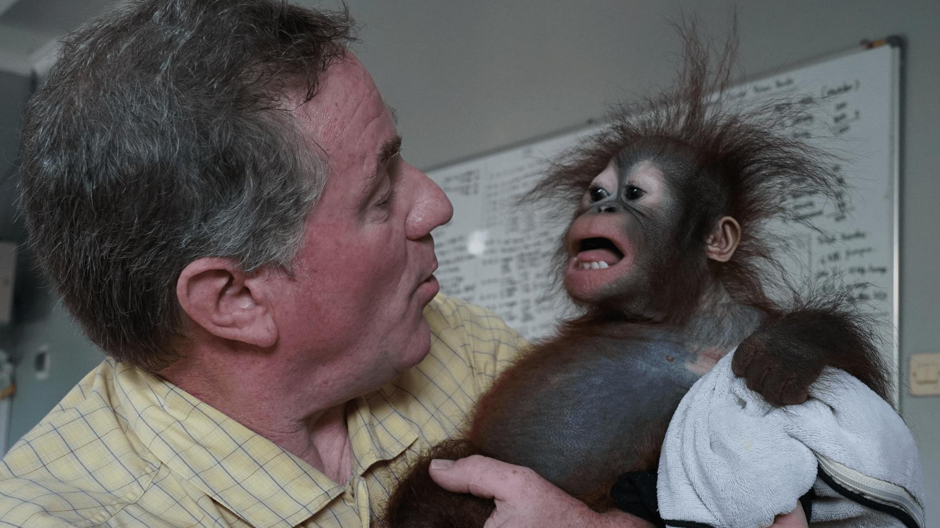 Watch Photo Ark S2 Episode 2 on Disney+