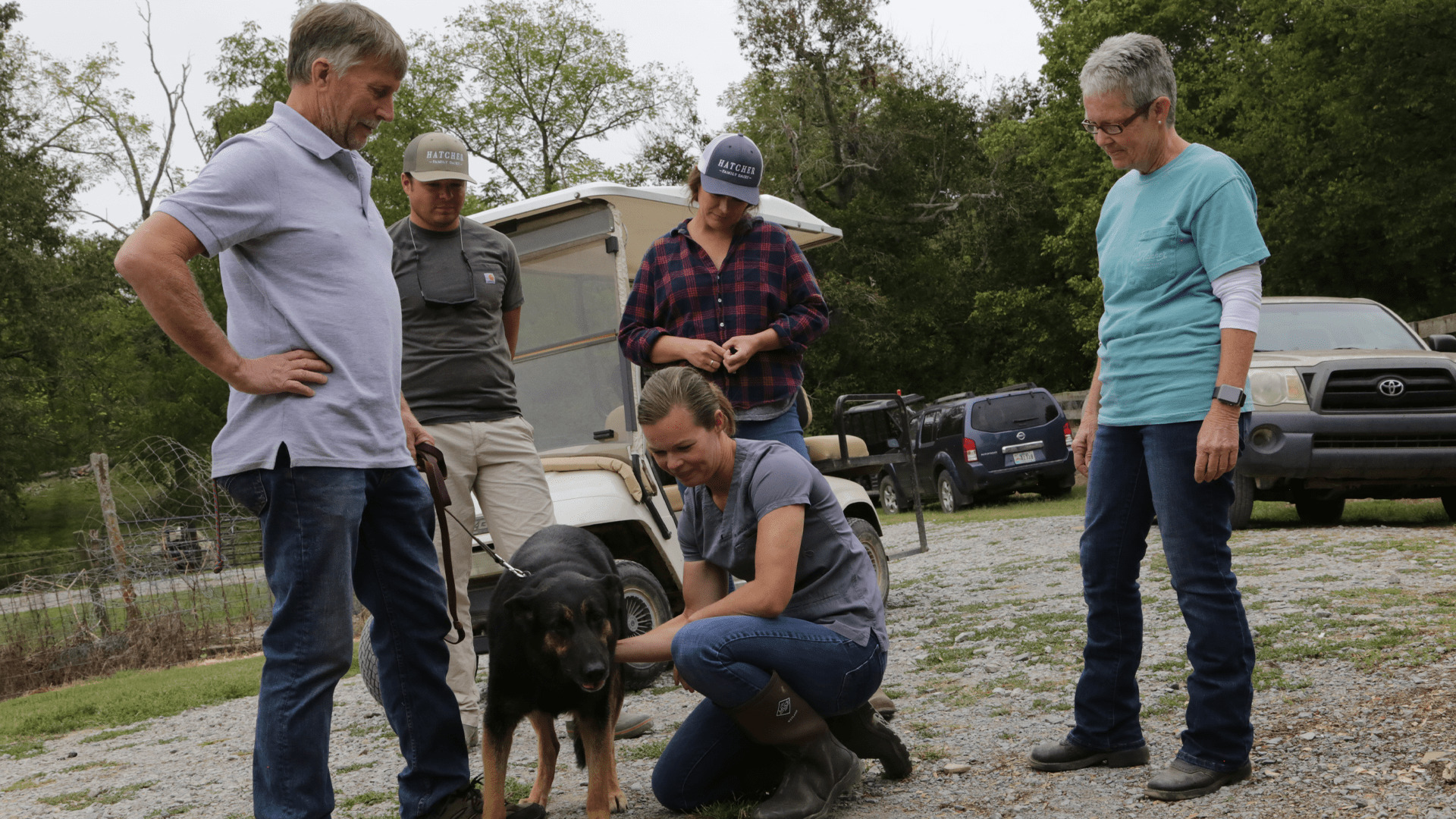 Disney+ | The greatest stories, all in one place