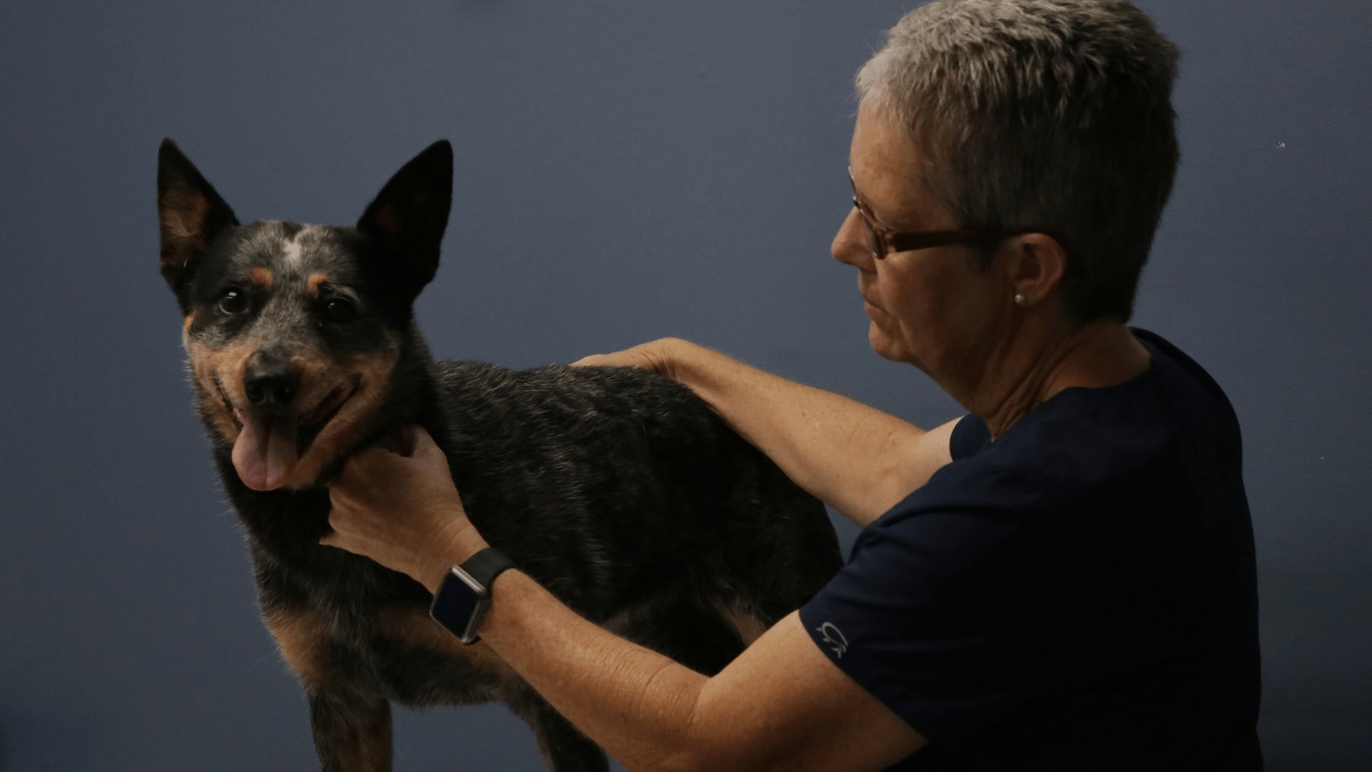 The Hatcher Family Dairy - Disney+