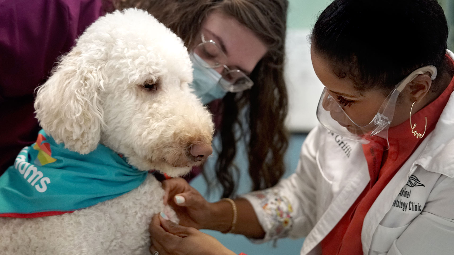 Nonton I M All Ear Worms Season 1 Episode 1 I M All Ear Worms Di Disney