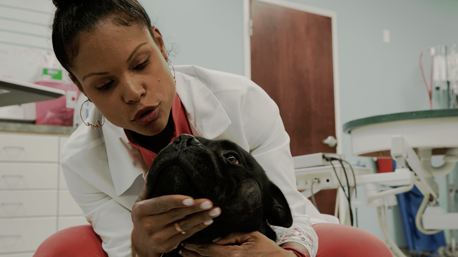Pop Goes the Vet with Dr. Joya - Disney+