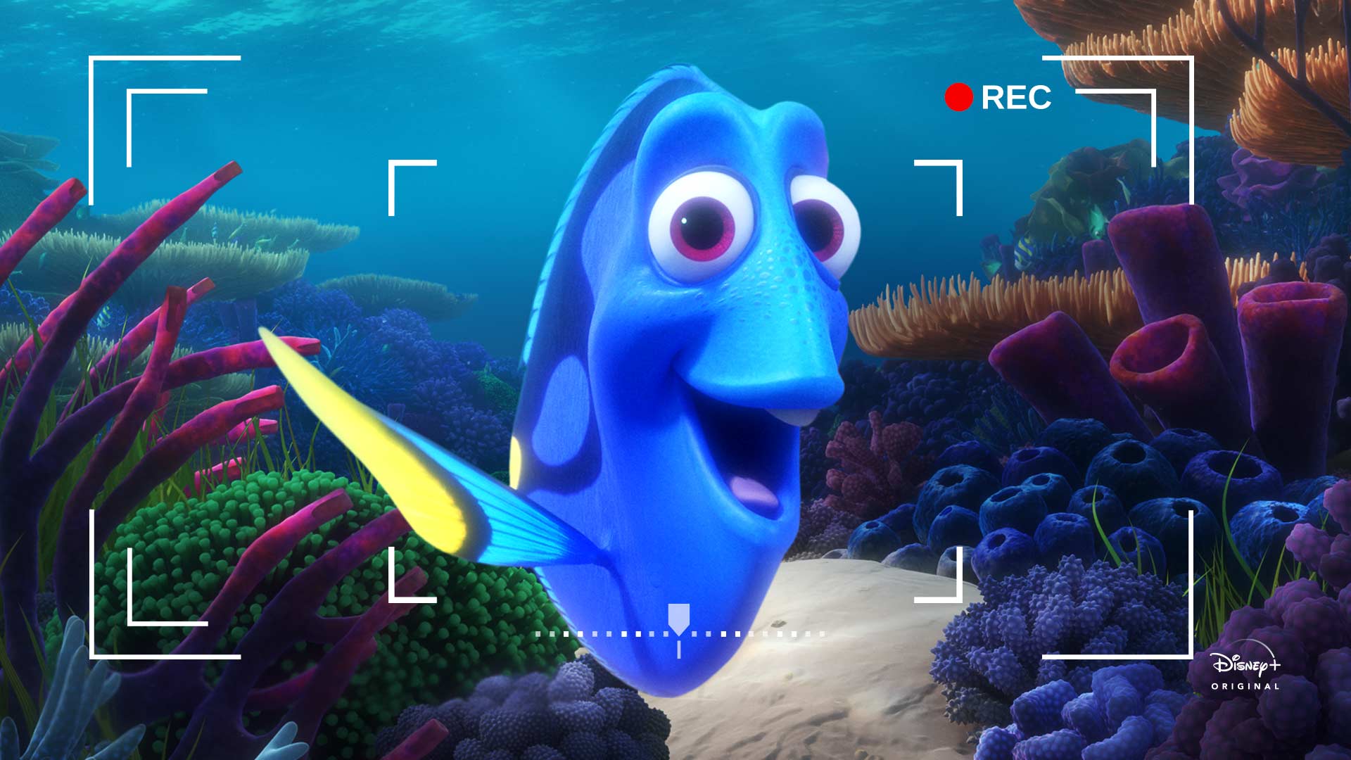 Dory's Reef Cam - Disney+