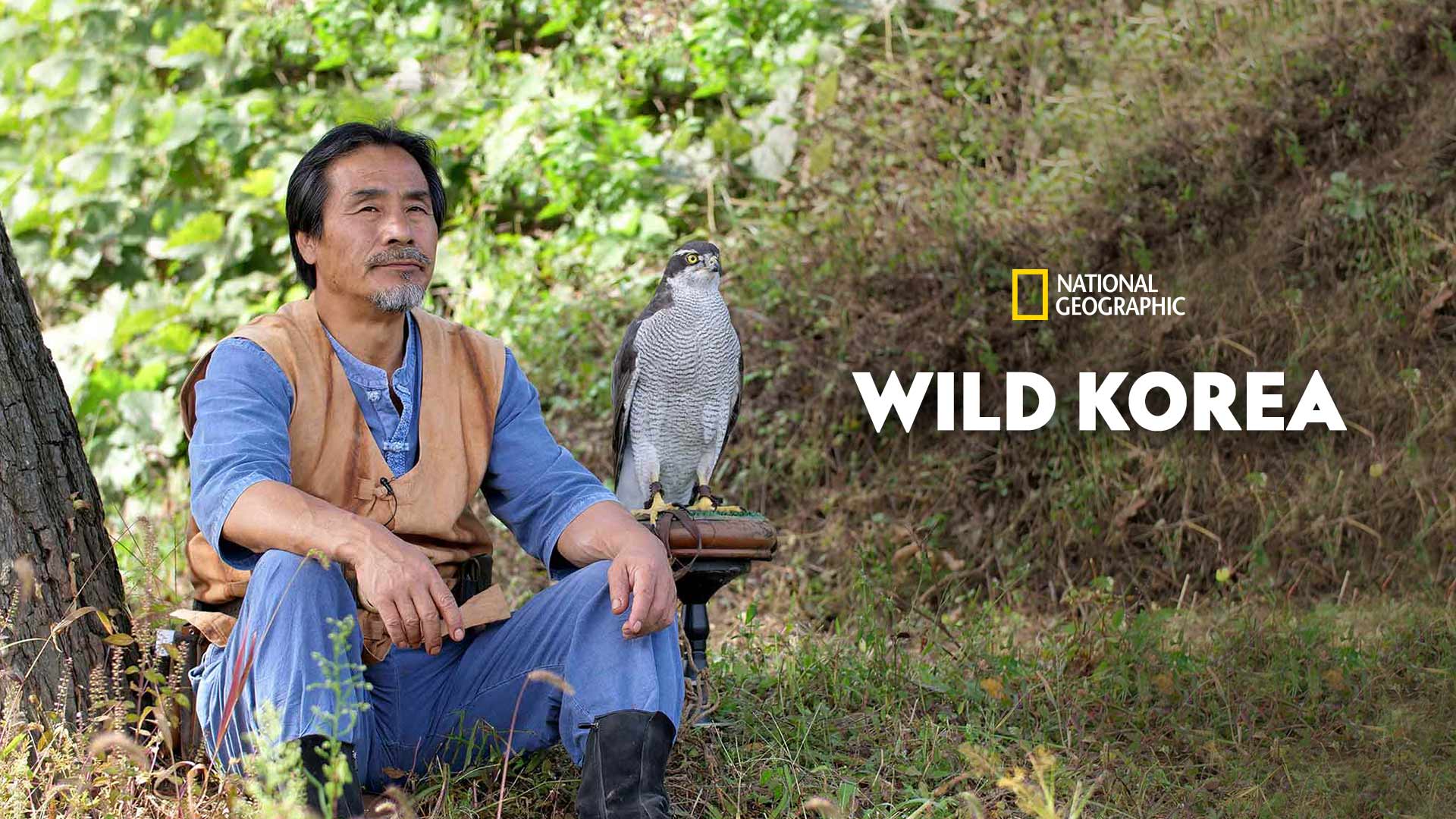 Wild Korea Reality Series, now streaming on Disney+