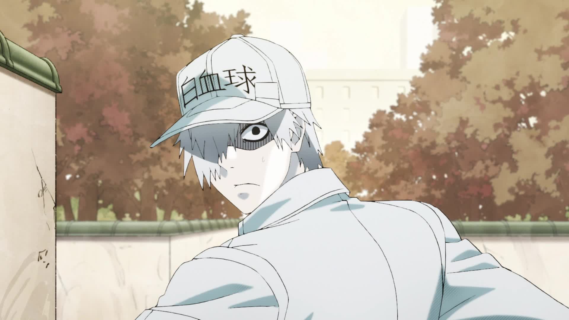 Watch Cells At Work! Episode 10 on JioHotstar