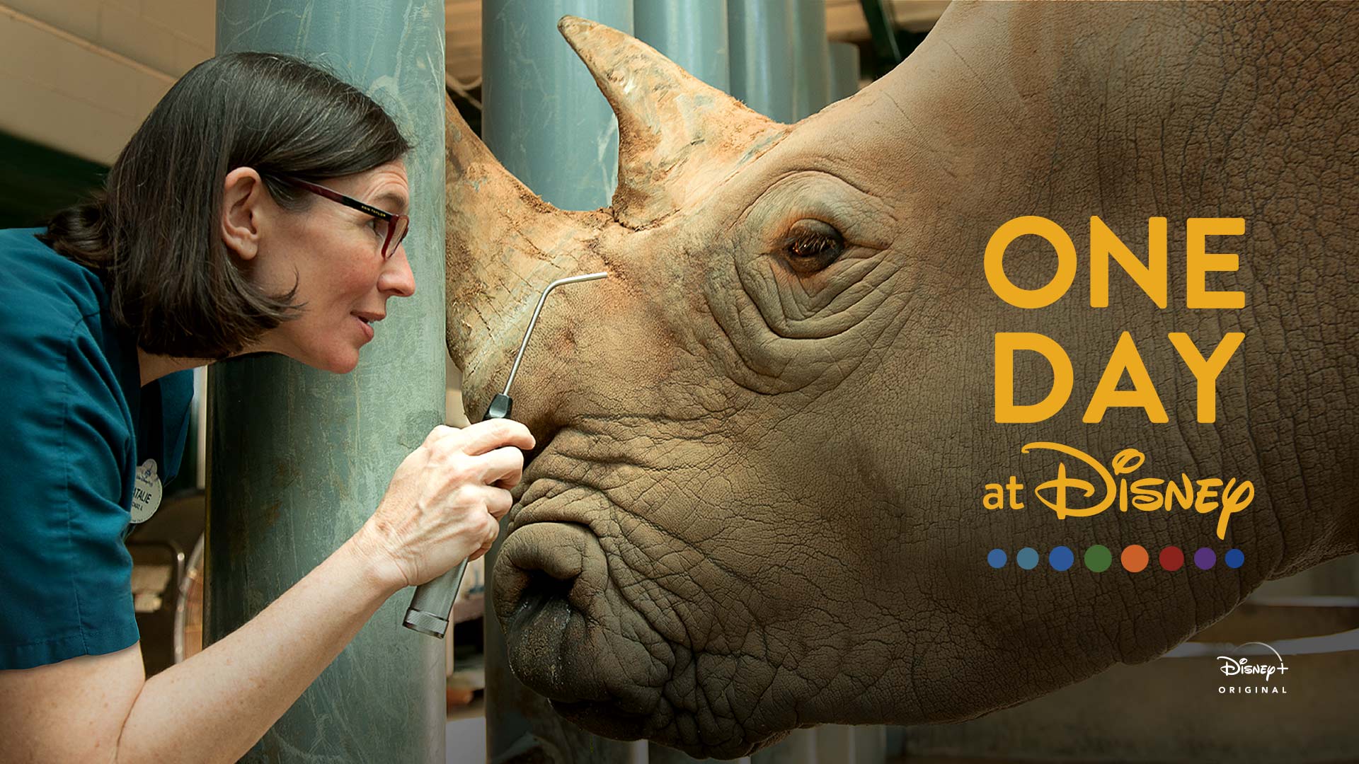 Watch Movie One Day at Disney Online only on Watcho,