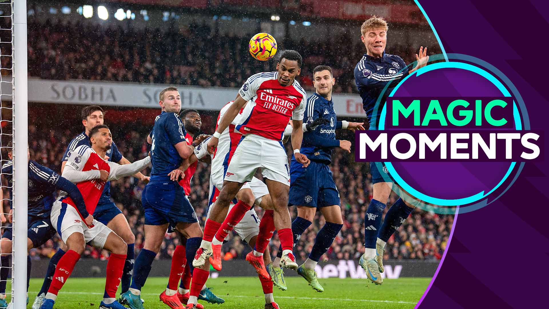 Moments of MW 14 ft. Timber