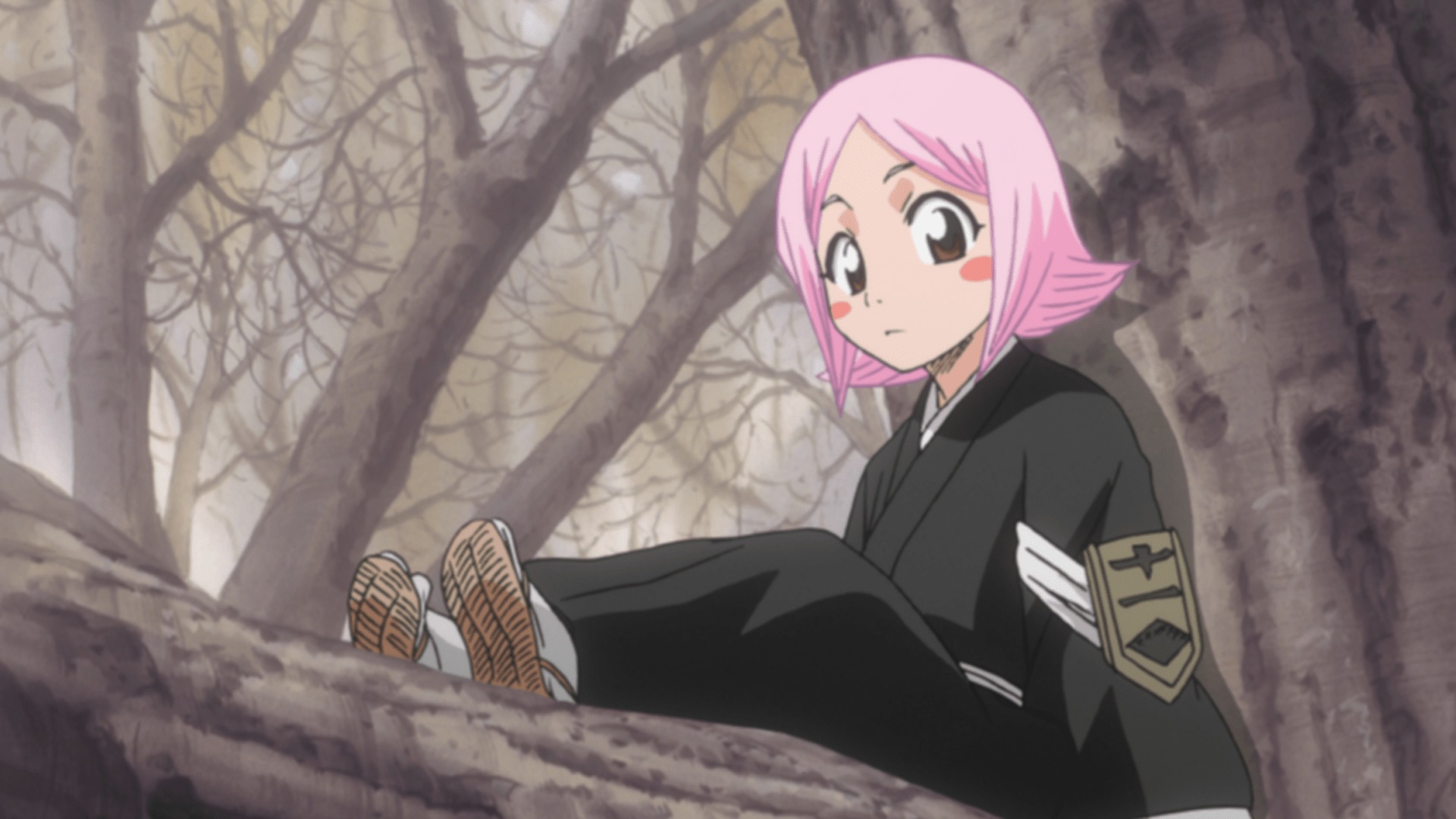 Watch Bleach Episode 18 on Disney+ UAE | Japanese English Spanish ...