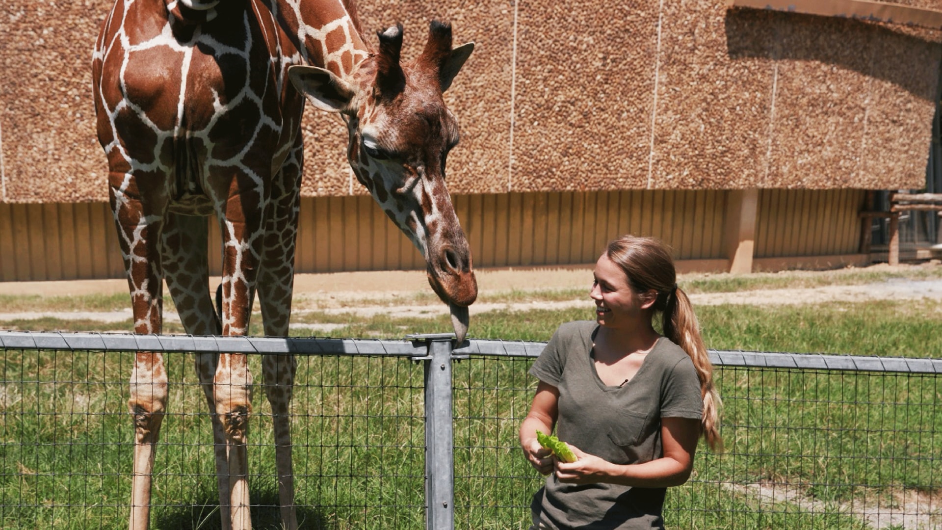 Sam's Zookeeper Challenge - Disney+