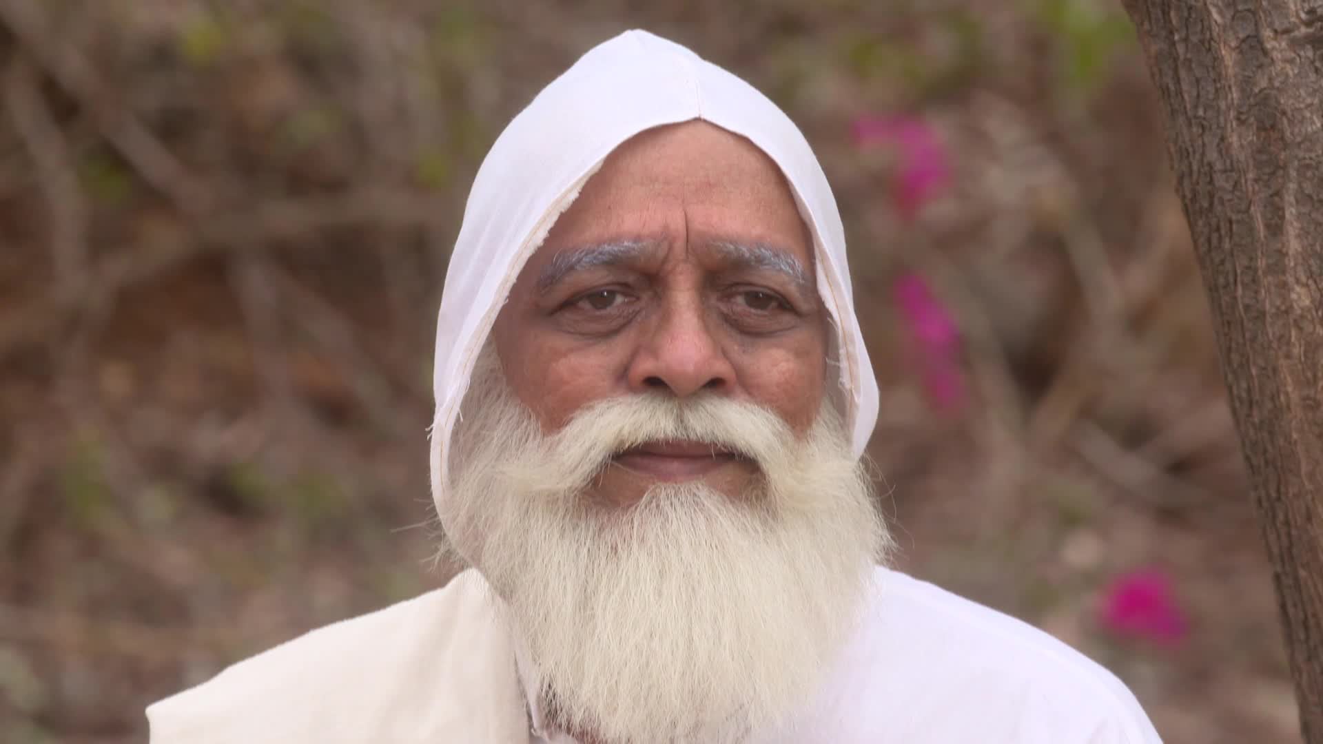Watch Balumama Chya Navan Chang Bhala S1 Episode 1455 on JioHotstar