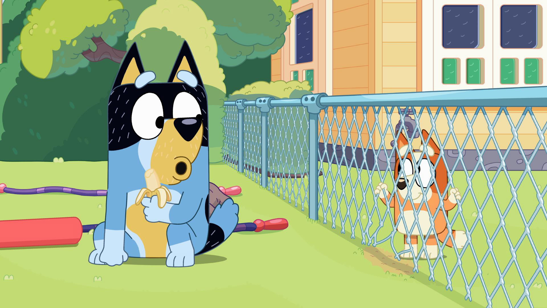 Watch Bluey S1 Episode 35 on Disney+ United Arab Emirates | Arabic ...