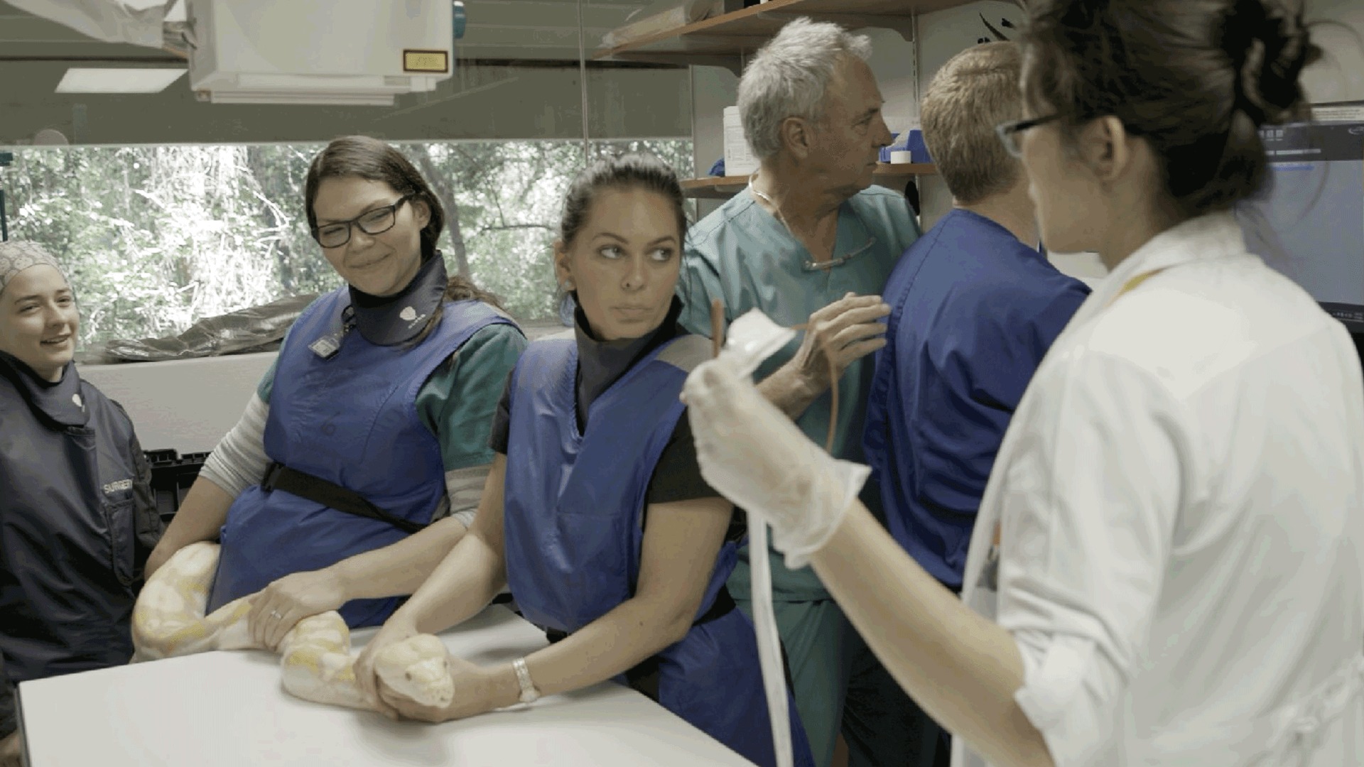 Watch Animal ER S1 Episode 2 on Disney+