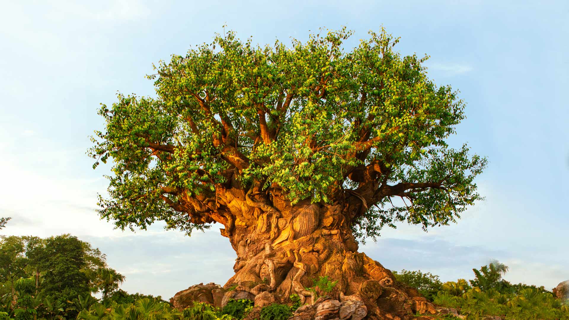 Disney Parks Sunrise Series - Disney+