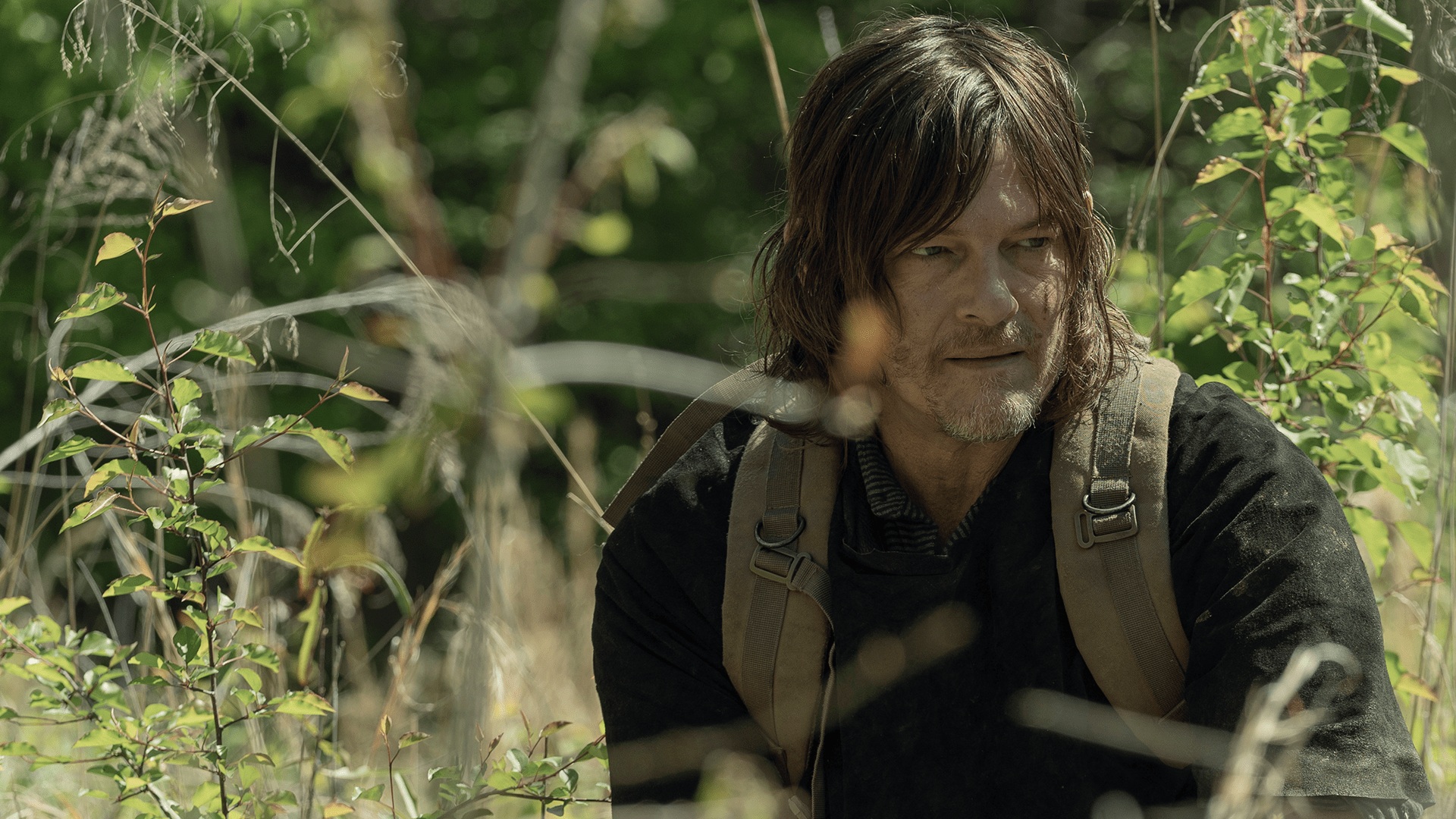 Watch The Walking Dead S11 Episode 4 on Disney+