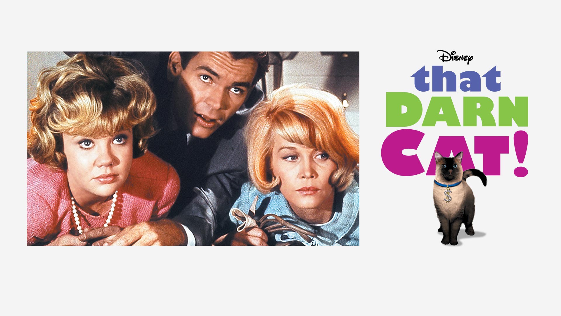 Watch Movie That Darn Cat! Online only on Watcho,