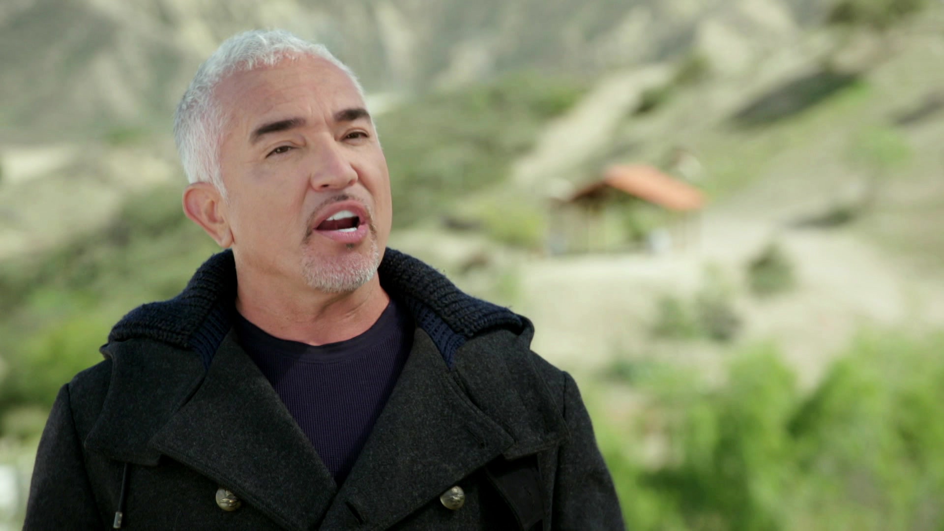 Watch cesar-millan-better-human-better-dog only on Watcho