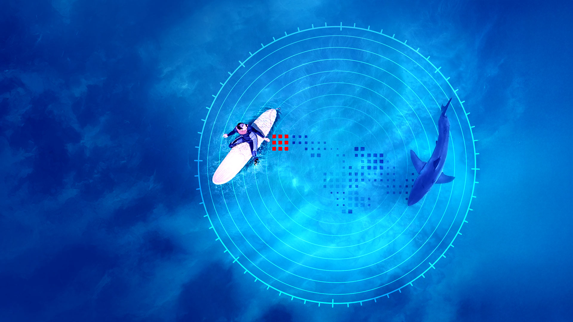 Investigation Shark Attack - Disney+