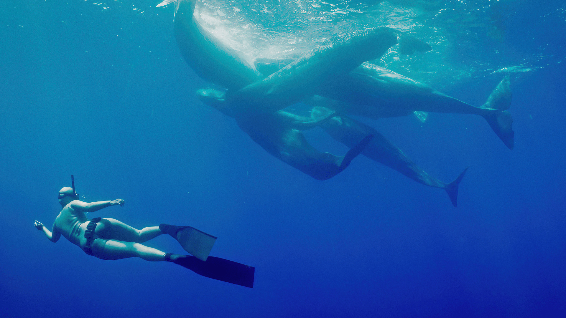 Welcome to Earth - Disney+