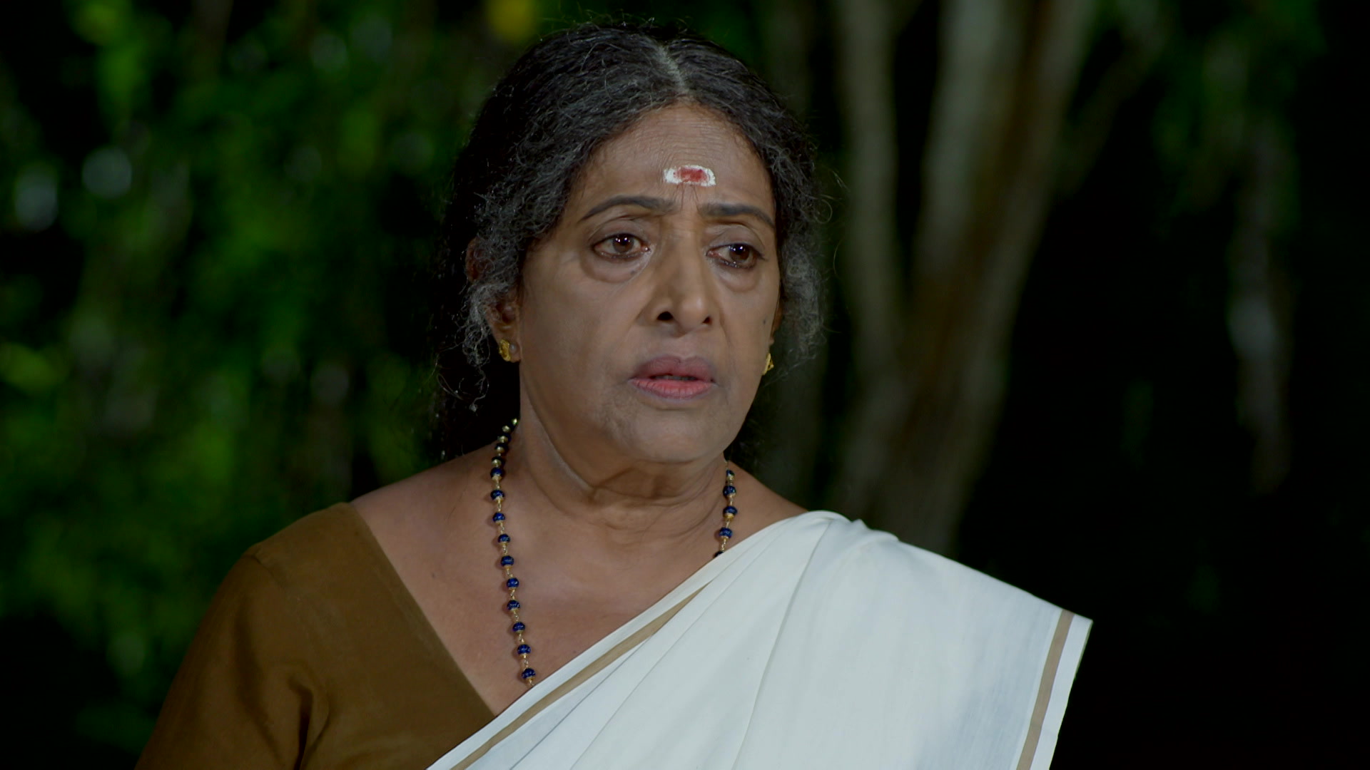 Watch Malikappuram S1 Episode 341 on JioHotstar
