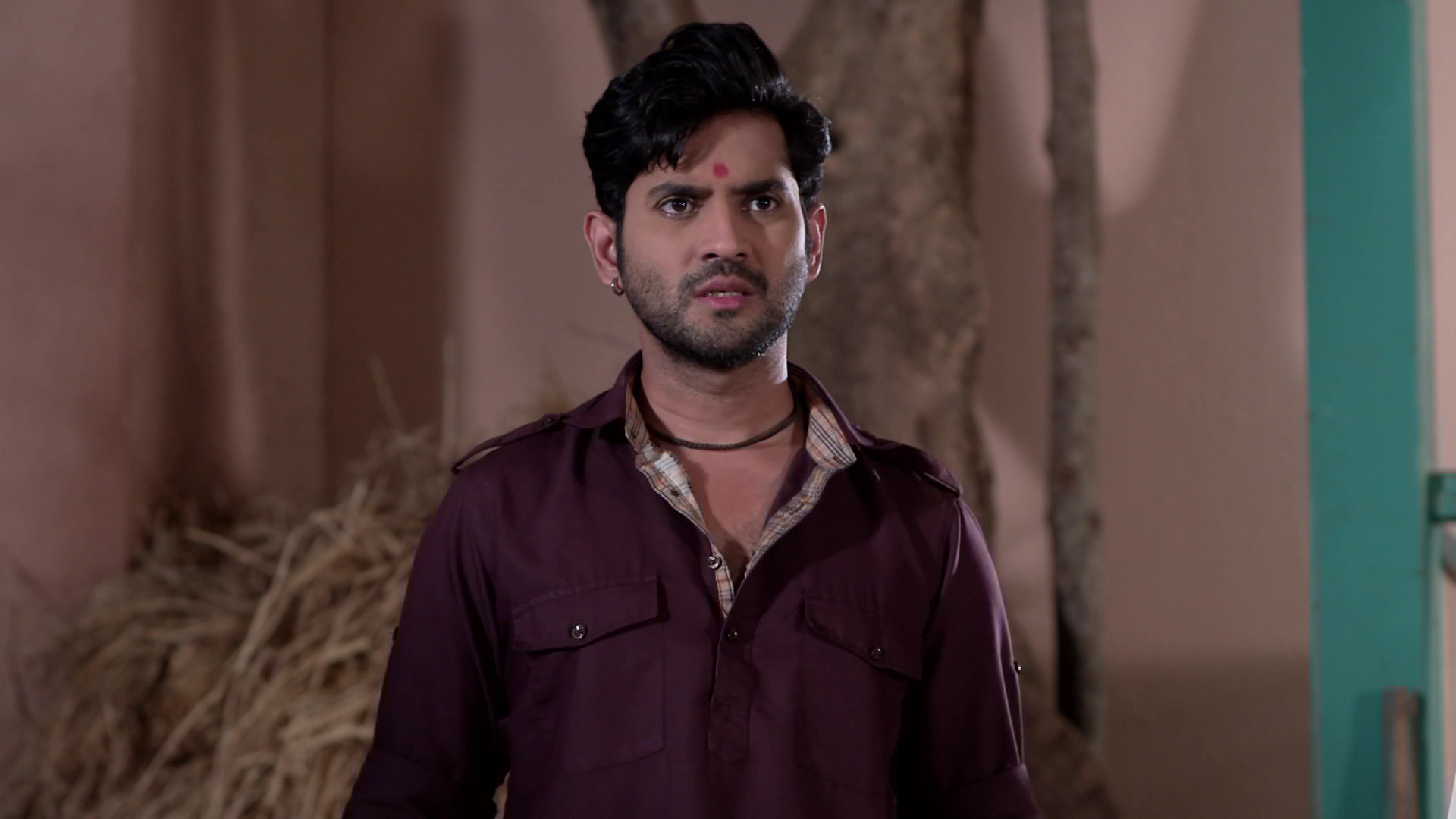 Watch Sukh Mhanje Nakki Kay Asta Episode 1256 on JioHotstar