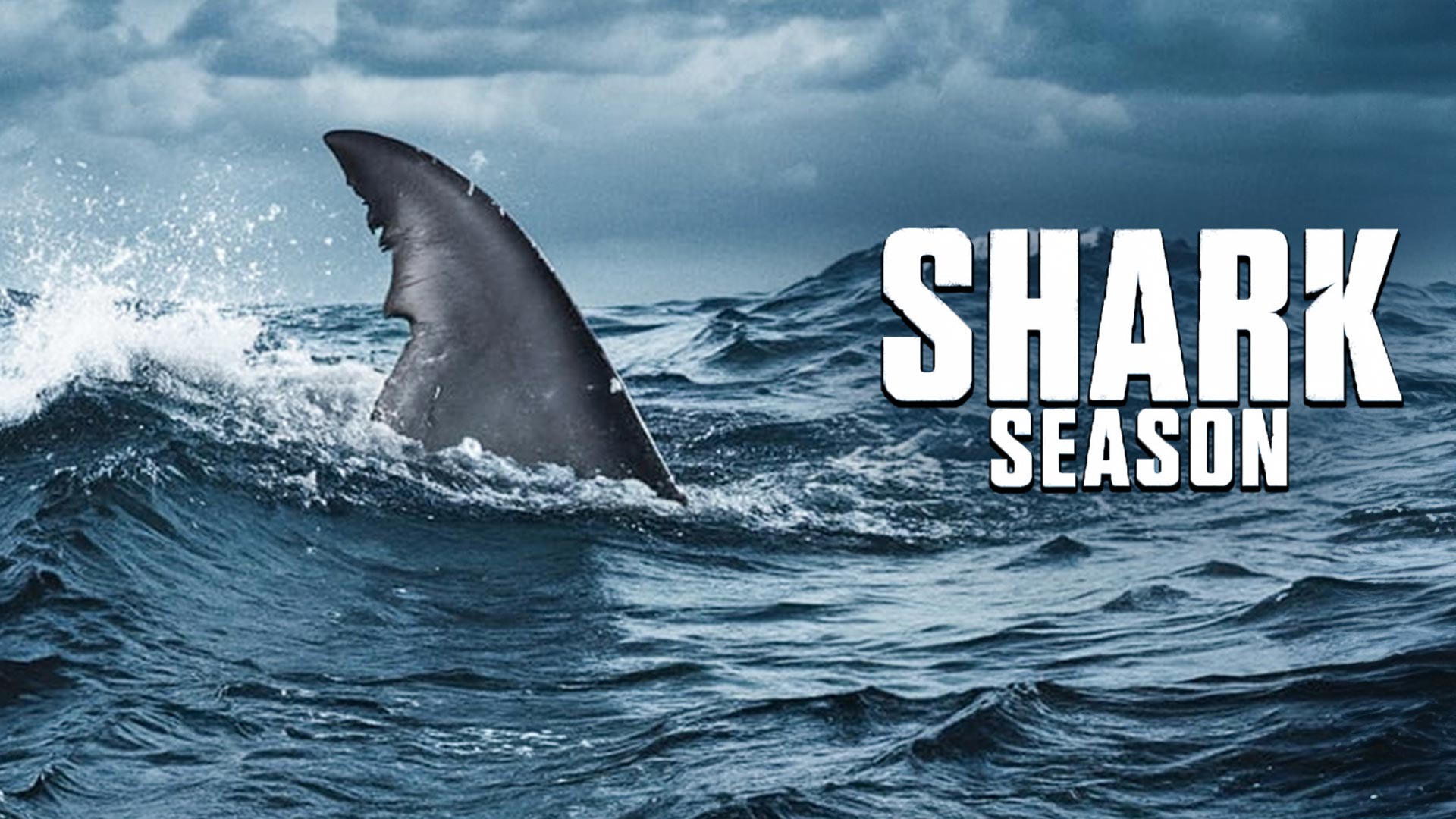 Watch Movie Shark Season Online only on Watcho,
