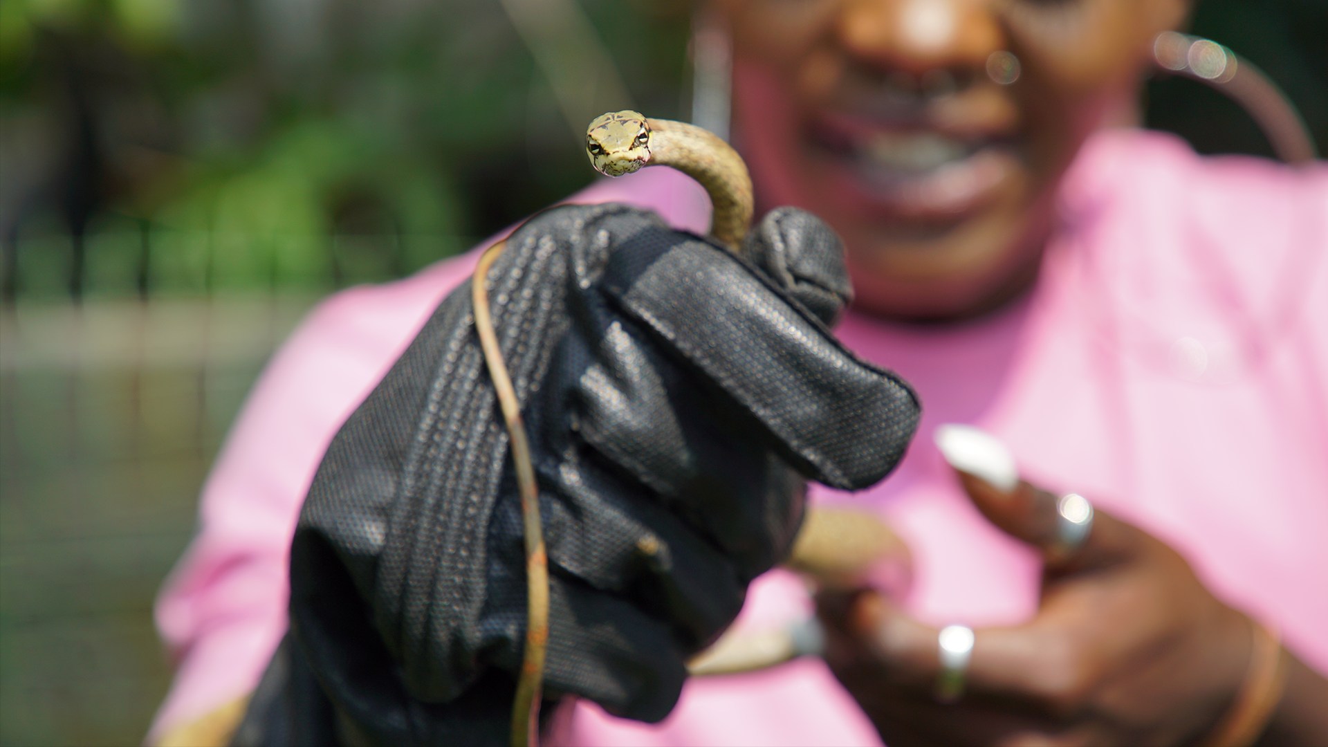 Snake City - Disney+