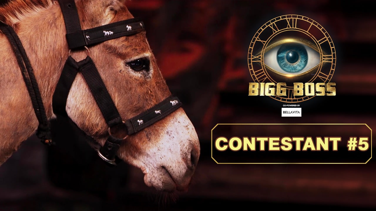 A Surprise Guest On Bigg Boss - JioHotstar