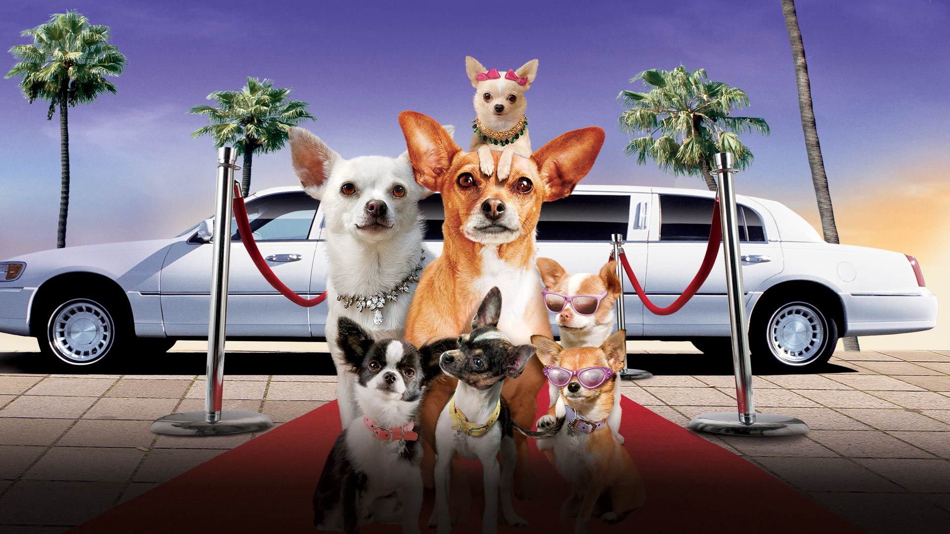 Beverly Hills Chihuahua 2 on Disney+ Libya | English French (Parisian ...