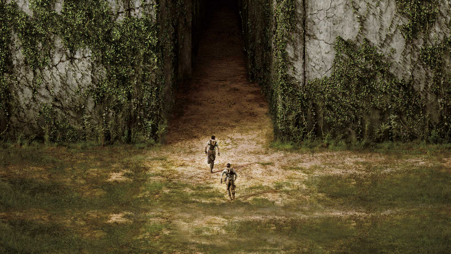 Watch The Maze Runner - Disney+ Algeria | French (Parisian) French ...