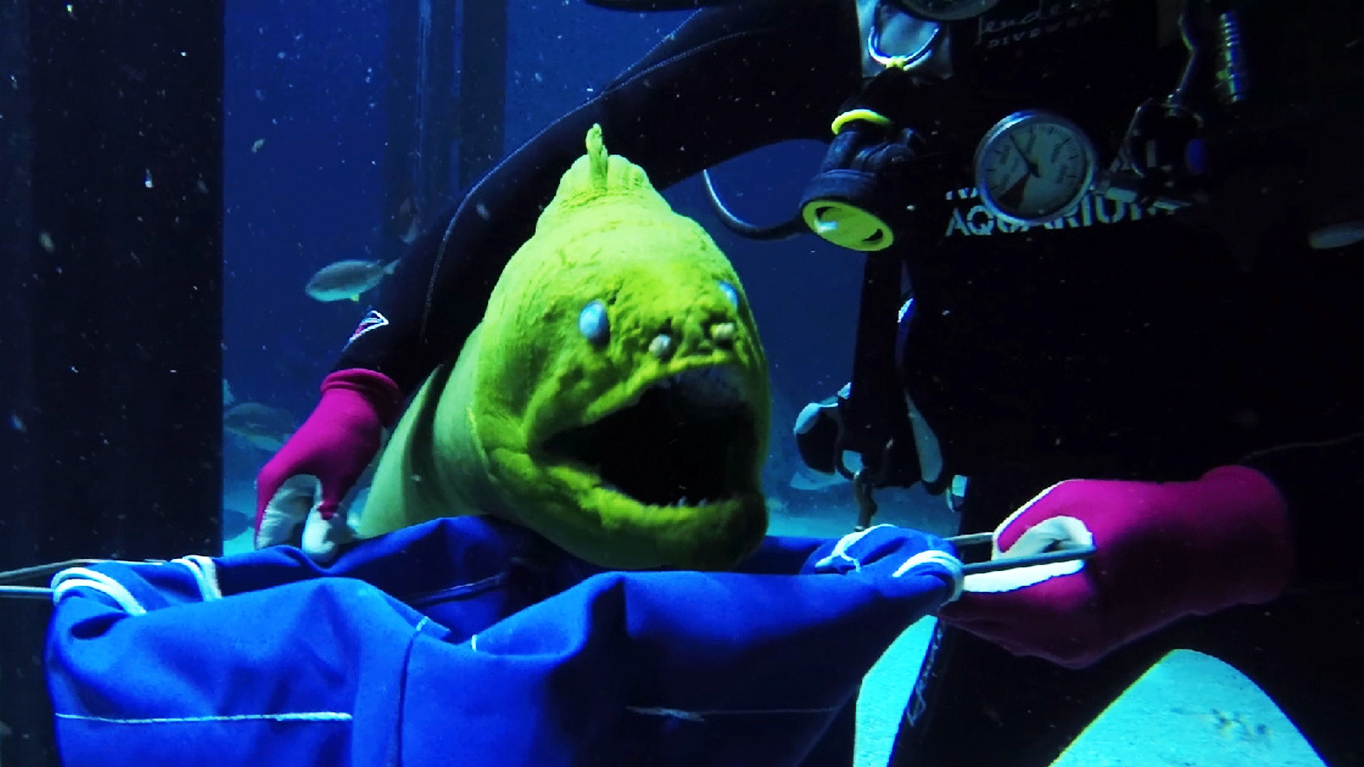 What Sam Sees - Disney+