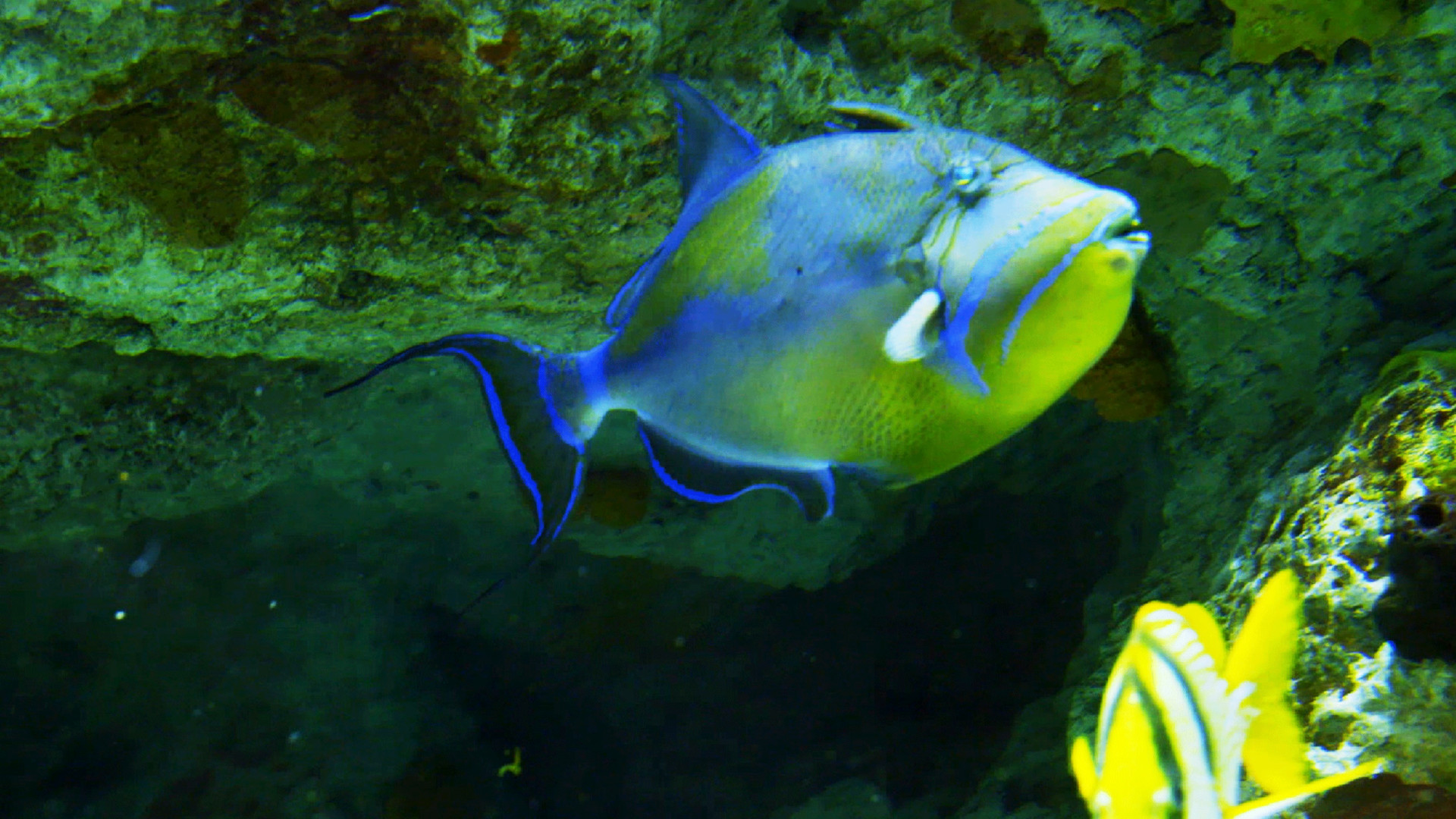 What Sam Sees - Disney+