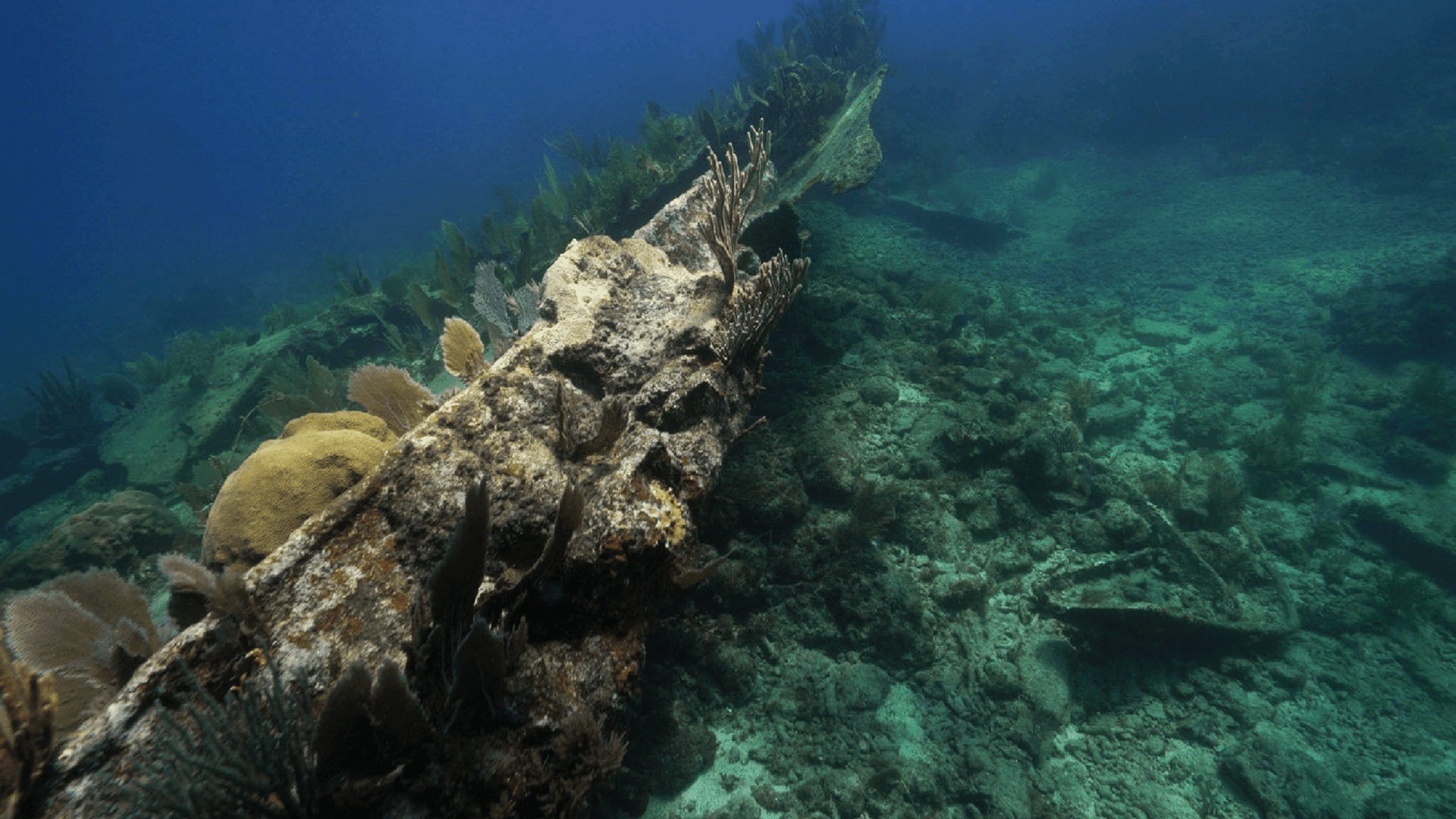 What Sam Sees - Disney+