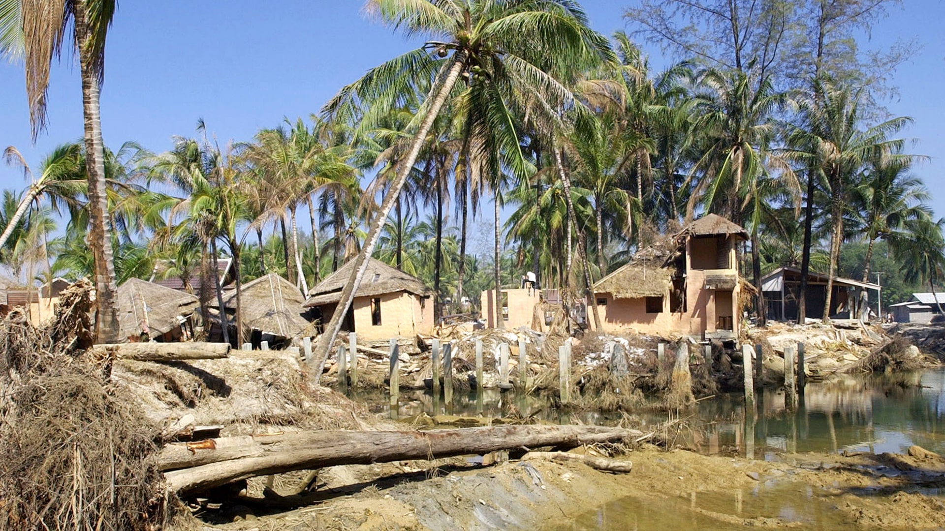 Watch Tsunami: Race Against Time Episode 2 on Disney+