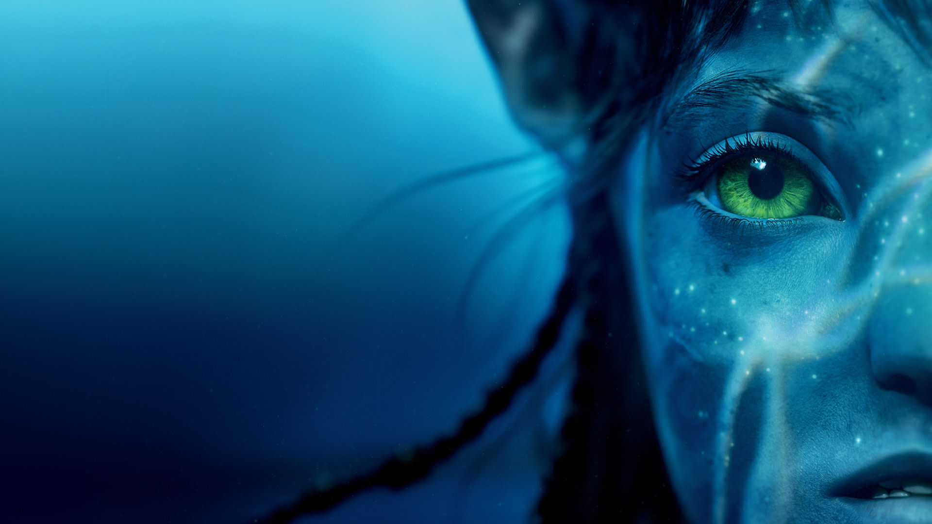 Avatar: The Deep Dive — A Special Edition of 20/20 on Disney+ South ...