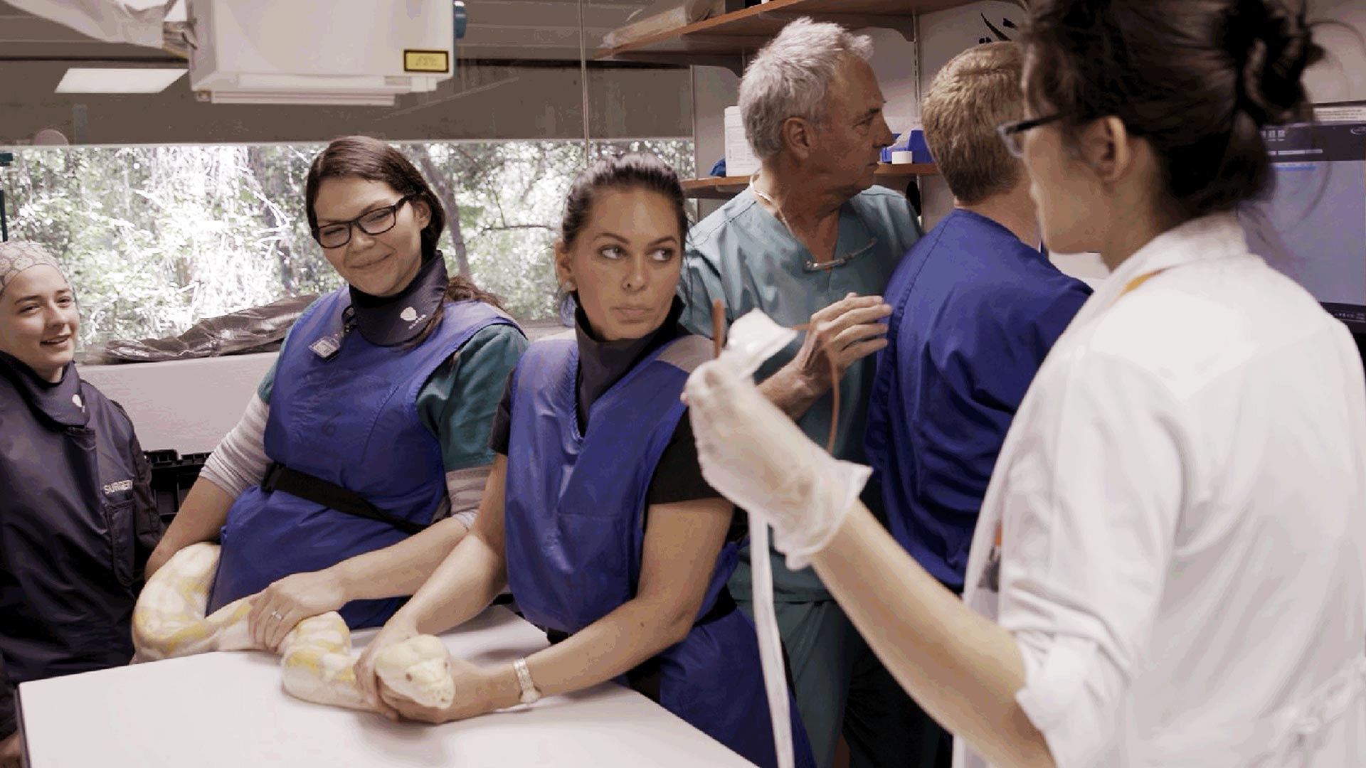 Stream Po'ed Python Season 1 Episode 1 – Po'ed Python on Disney+ Hotstar