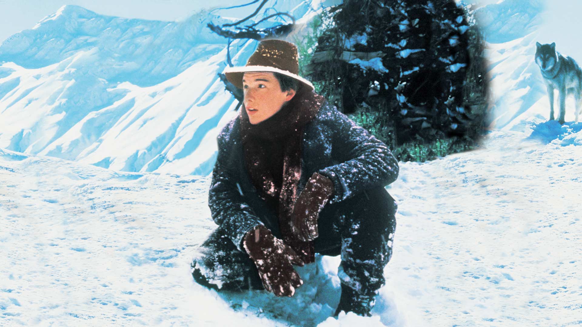 White Fang - Disney+