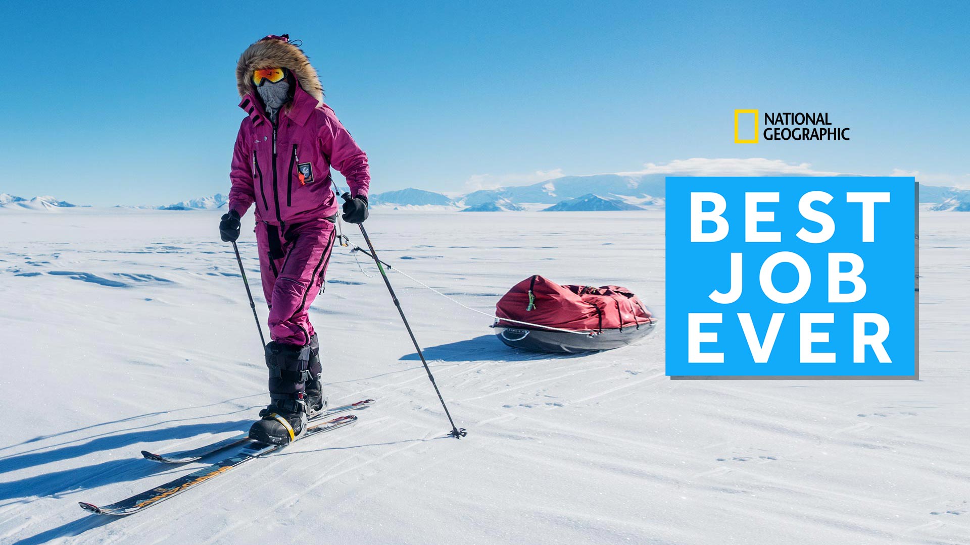 Watch a clip from Best Job Ever - Trailer on Disney+ Hotstar
