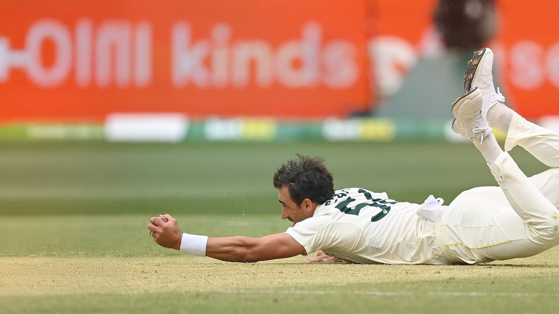 What a Catch! Starc Pulls Off a Stunner