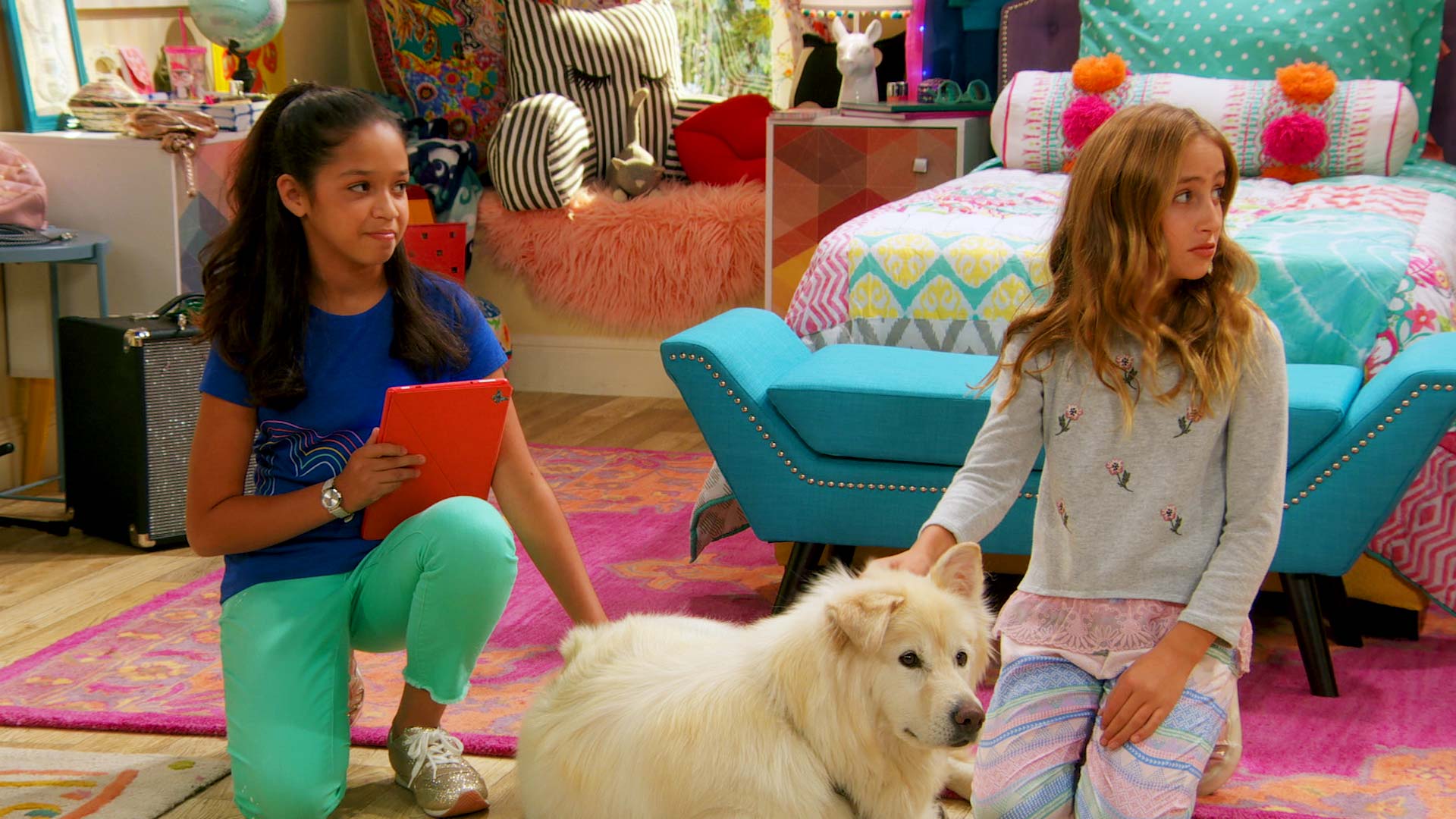 Stream Who Let The Dogs In Season 1 Episode 6 – Who Let The Dogs In on ...