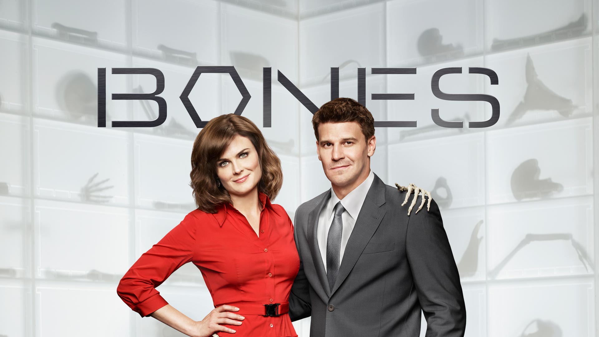Watch All Seasons of Bones on Disney+ Hotstar