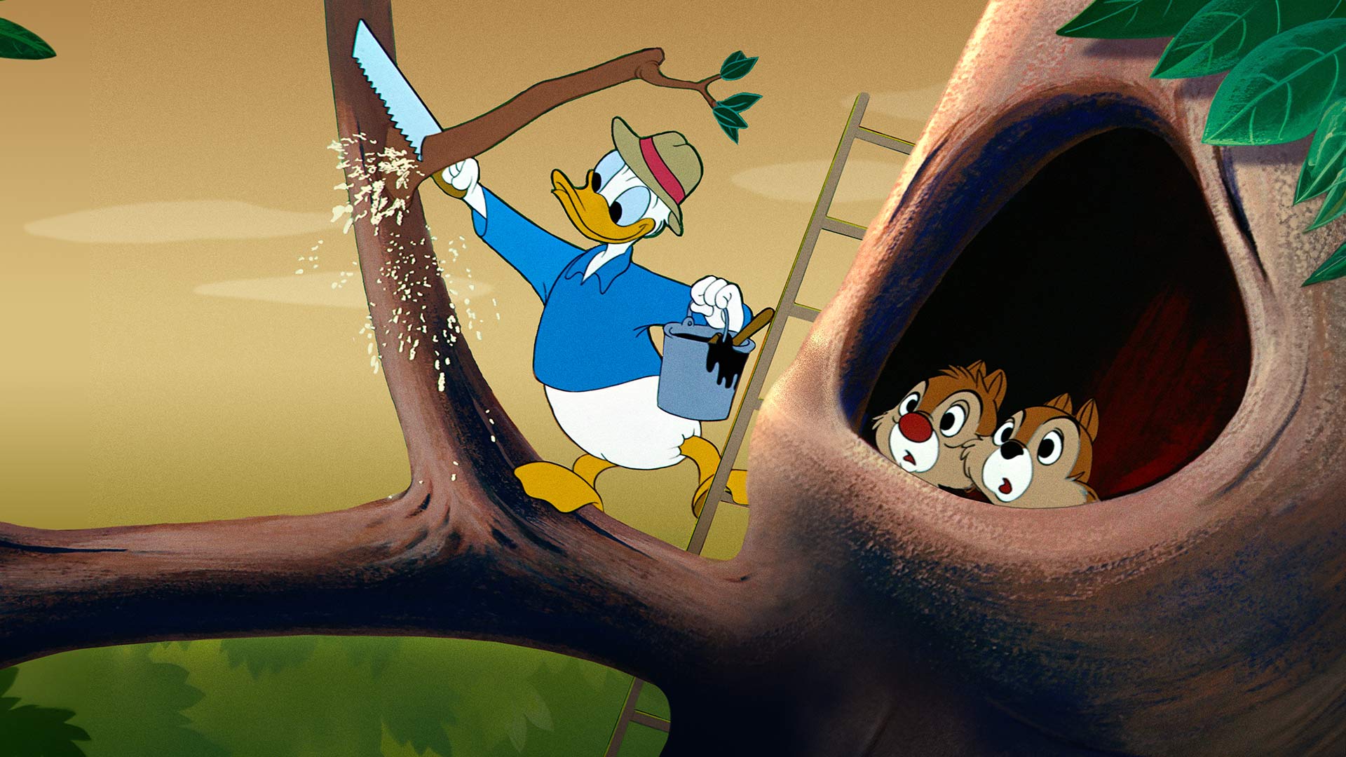 Watch Out on a Limb - JioHotstar