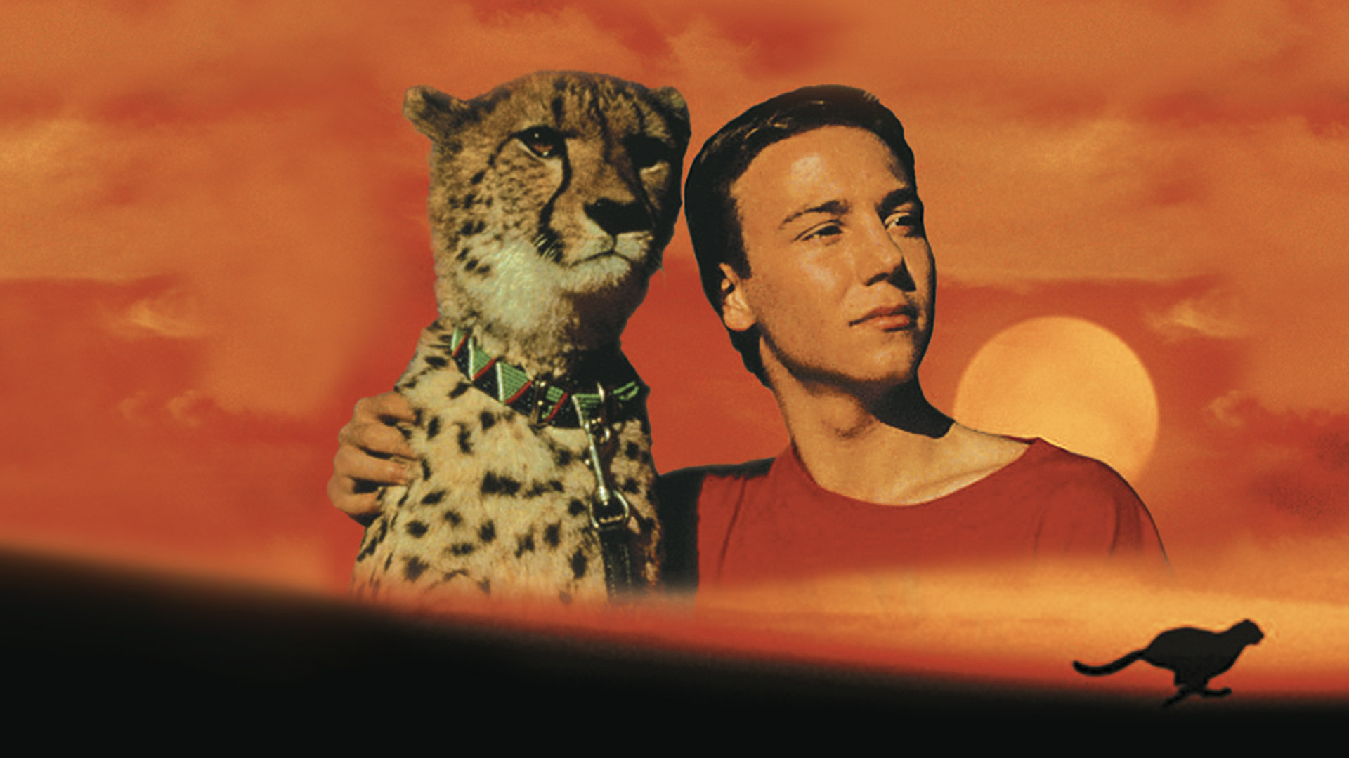 Cheetah on Disney+ South Africa | English Action-Adventure Movie